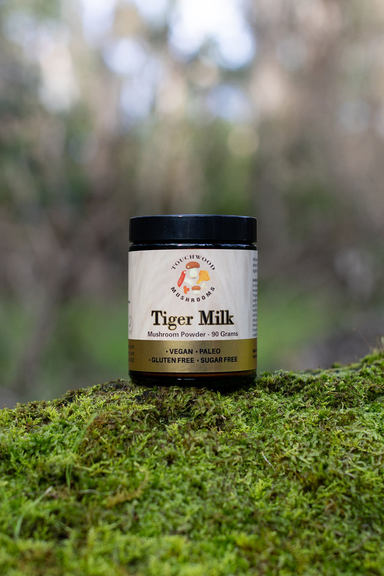 Complete Guide to Tiger Milk Mushroom - Australia – Touchwood Mushrooms