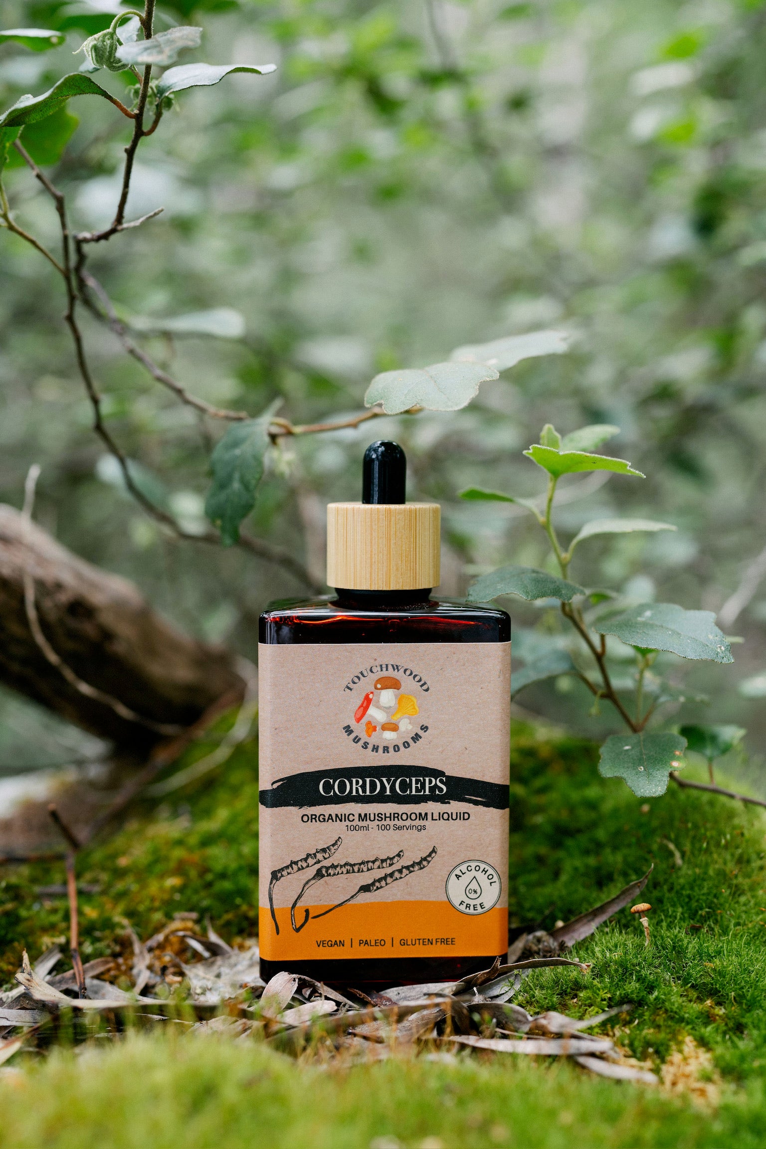 Alcohol Free Mushroom Liquids – Touchwood Mushrooms