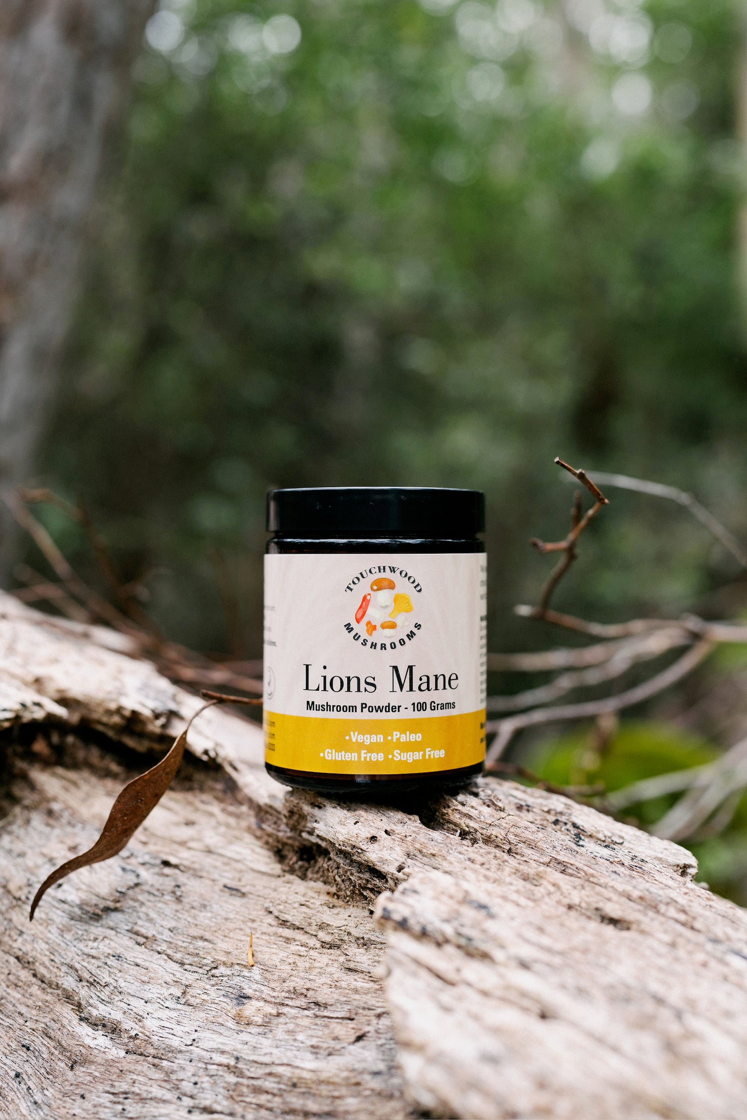Organic Lion’s Mane Mushroom Powder | Touchwood Mushrooms