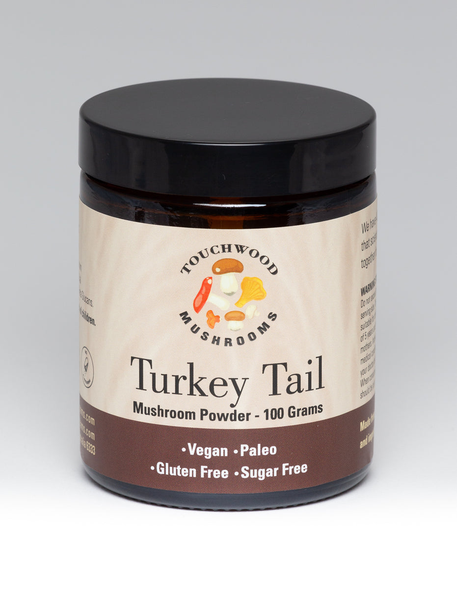 Organic Turkey Tail mushroom powder | Touchwood Mushrooms