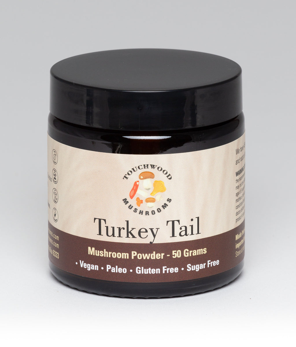 Organic Turkey Tail mushroom powder | Touchwood Mushrooms